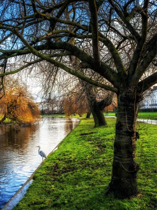 Visiting London in January (All you need to know)