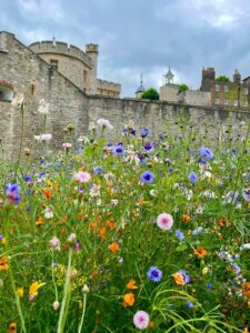 Visiting London in June [All you need to know]