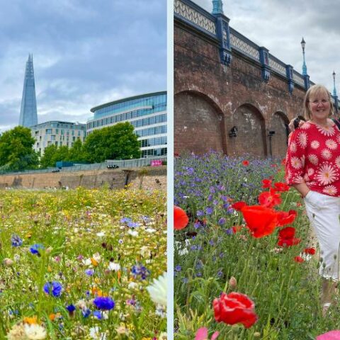 Visiting London in July [All You Need to Know]