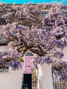 Visiting London in Spring (All you need to know)