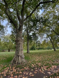 Visiting London in October | All You Need to Know