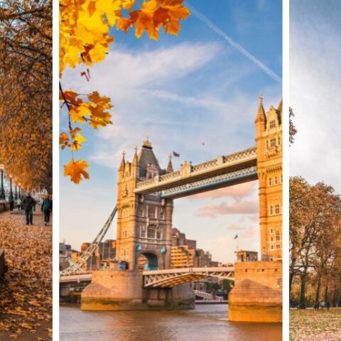 Visiting London in November [All You Need to Know]