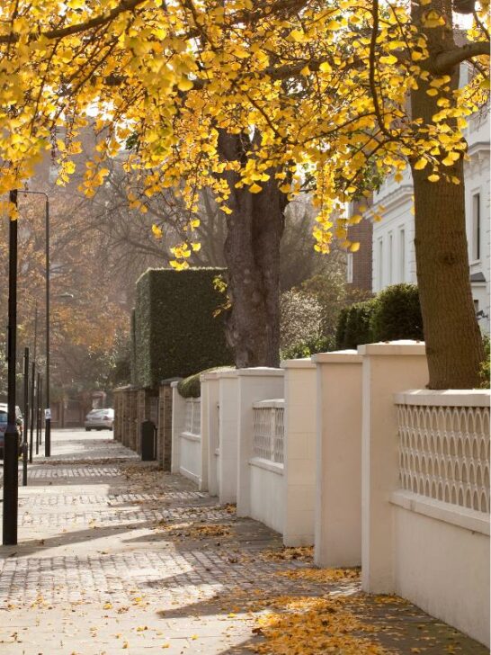 Visiting London in Fall [All you need to know]