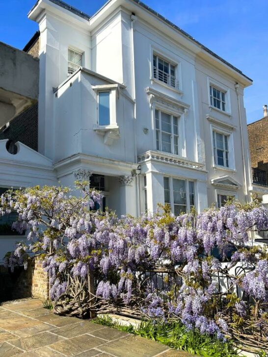 Things to Do in Notting Hill - What to See, Do, Stay, Eat