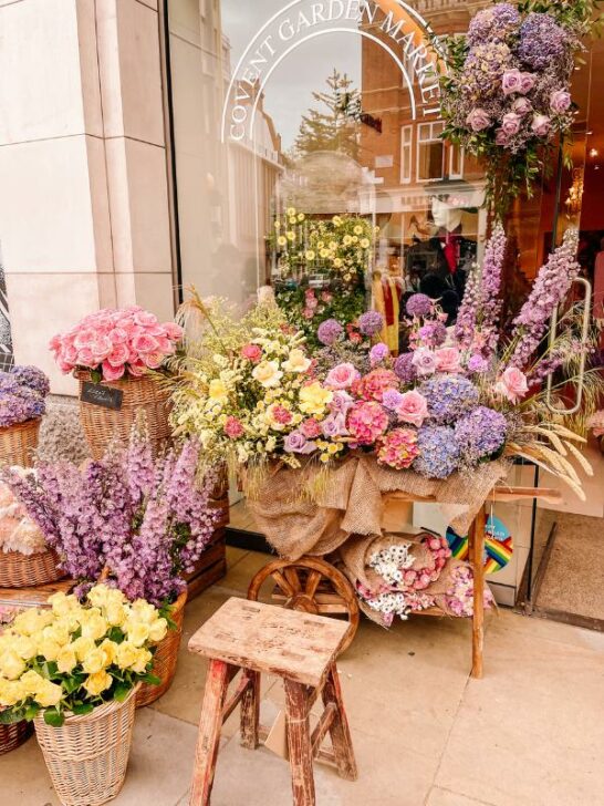 Shopping in London [The Ultimate Guide]